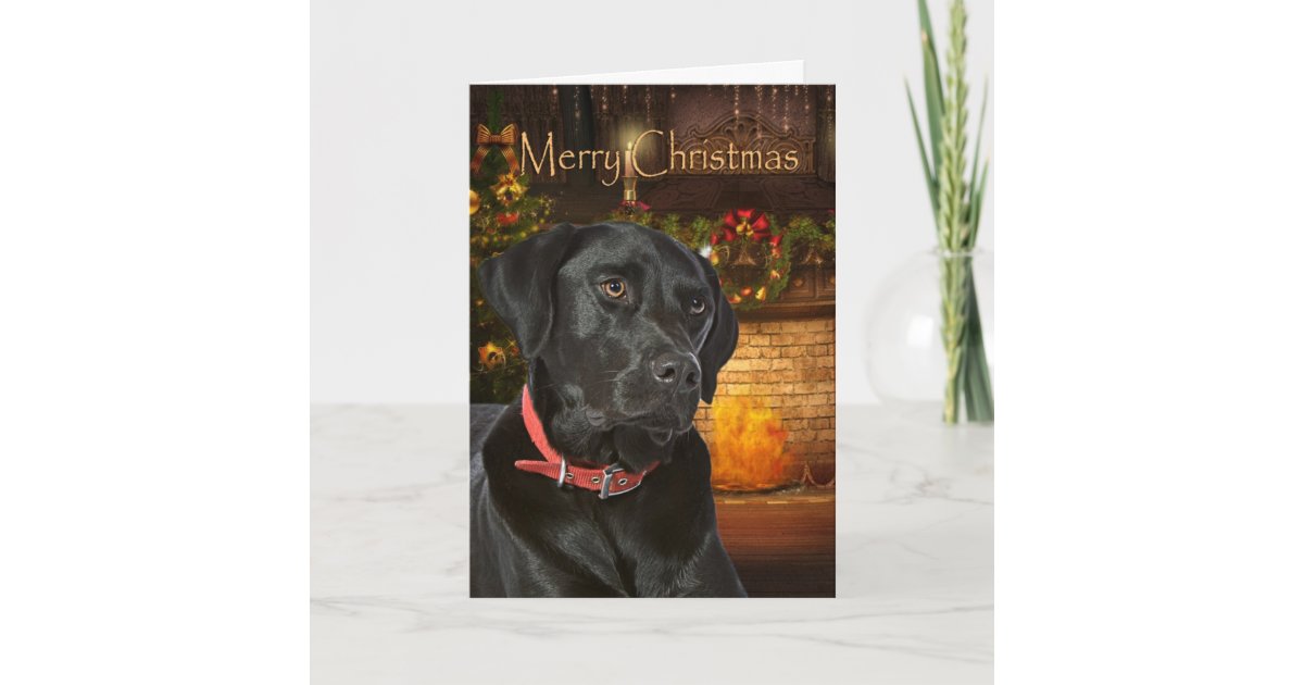 Black Lab Christmas Card | Zazzle