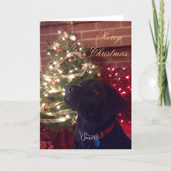 Black Lab Christmas Card | Zazzle