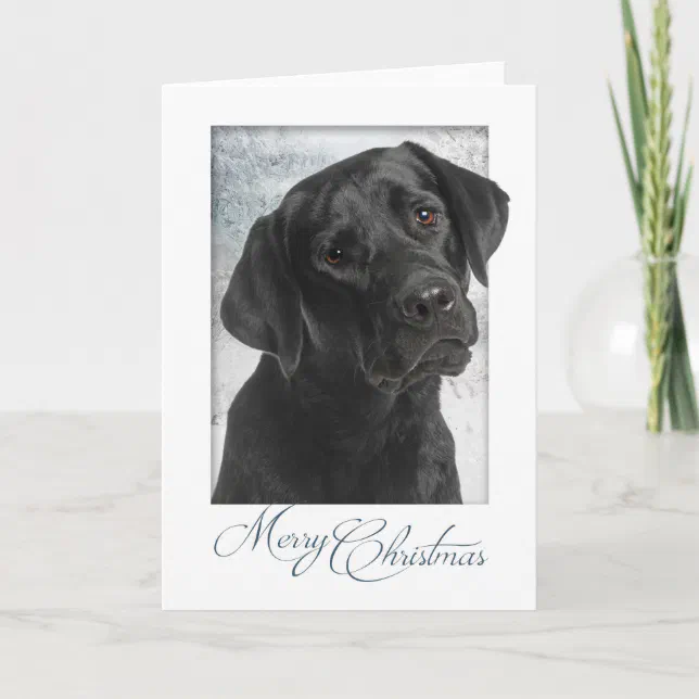 Black Lab Christmas Card | Zazzle