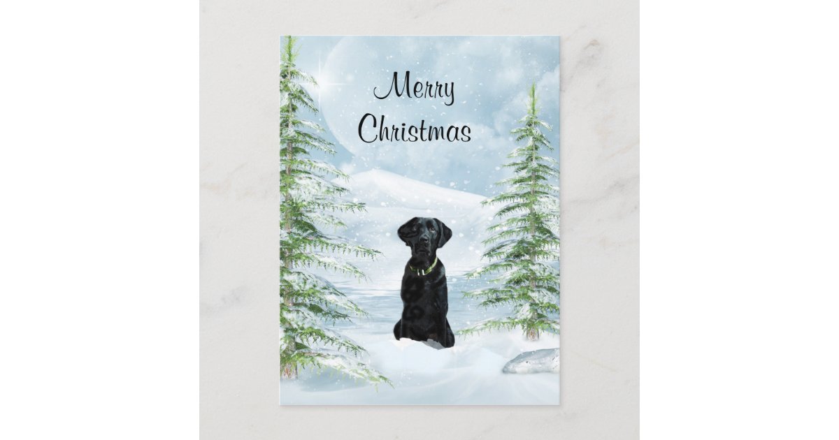 Black lab Christmas Holiday Postcard | Zazzle