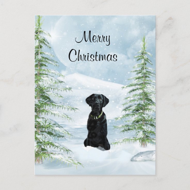 Black lab Christmas Holiday Postcard | Zazzle
