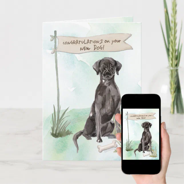 Black Lab Congratulations on New Dog Card | Zazzle