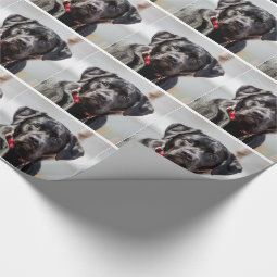 Black Lab Dog Pet Black Labrador Retriever Wrapping Paper | Zazzle