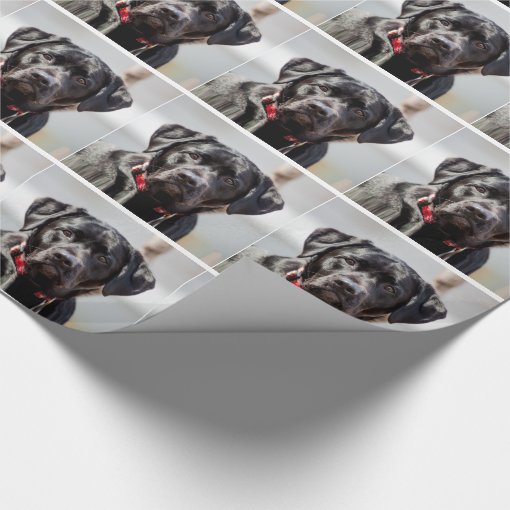 Black Lab Dog Pet Black Labrador Retriever Wrapping Paper | Zazzle