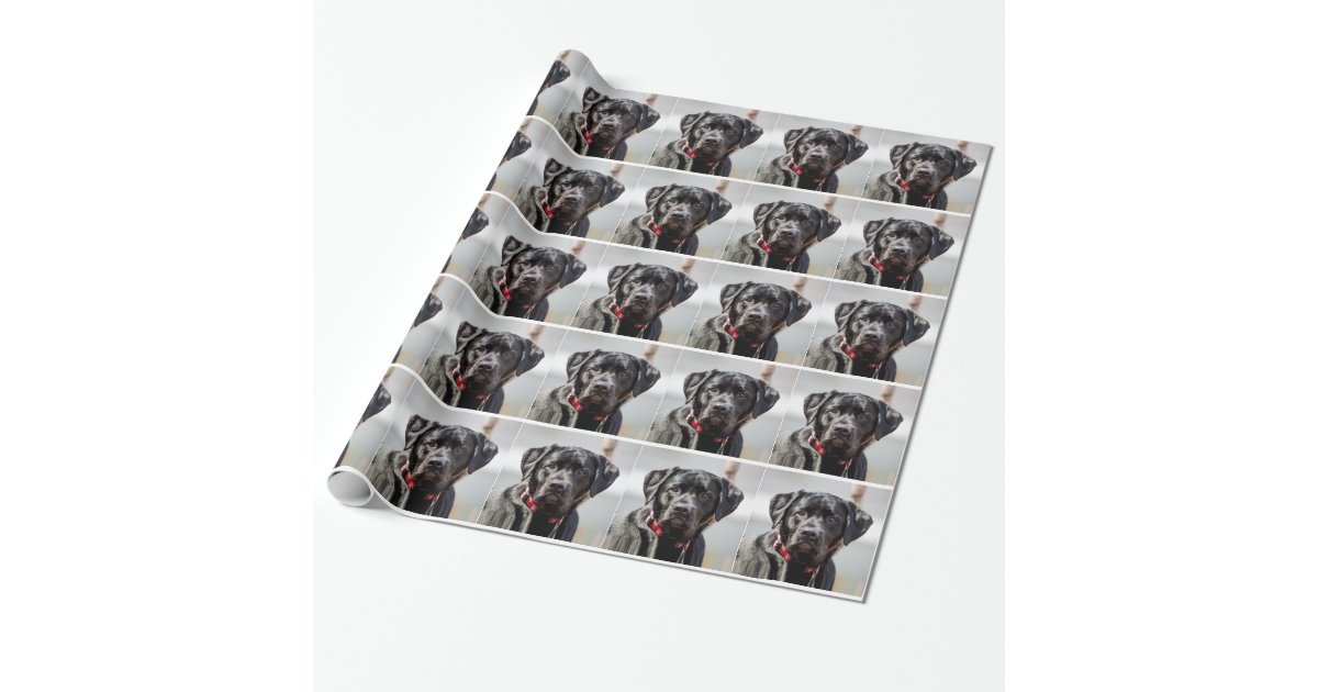 Black Lab Dog Pet Black Labrador Retriever Wrapping Paper | Zazzle