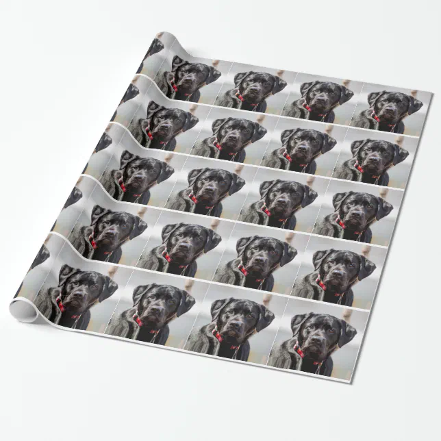 Black Lab Dog Pet Black Labrador Retriever Wrapping Paper | Zazzle