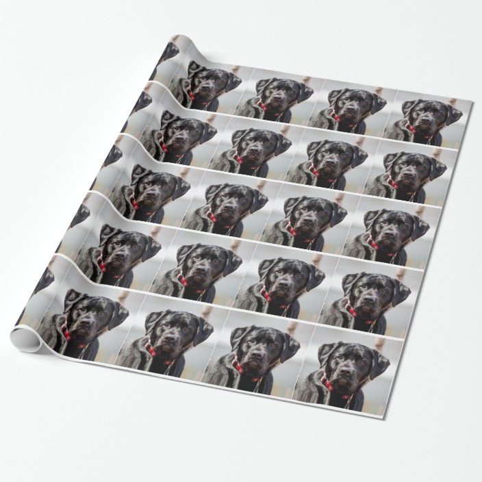 Black Lab Dog Pet Black Labrador Retriever Wrapping Paper | Zazzle.com