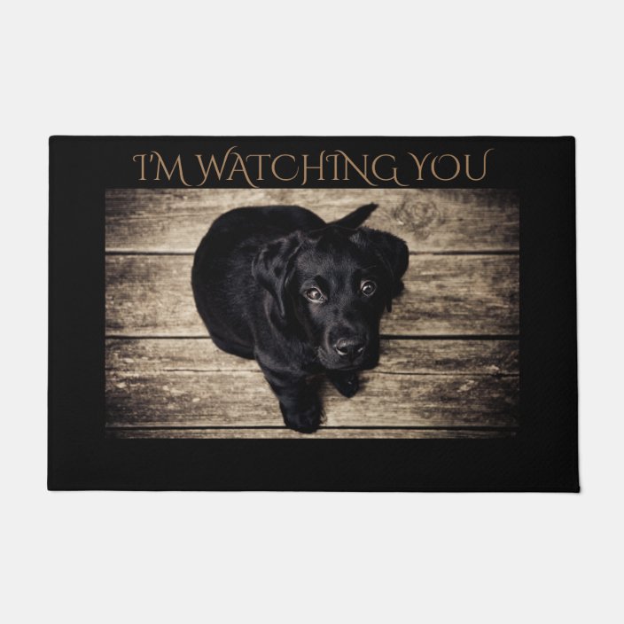 Black lab doormat. 'I'm watching you" Doormat | Zazzle.com