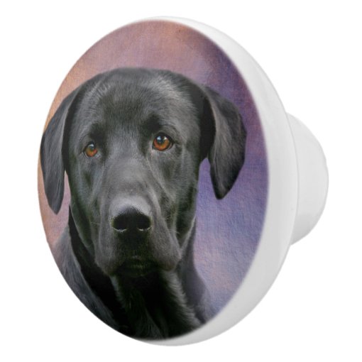 Black lab face ceramic knob | Zazzle