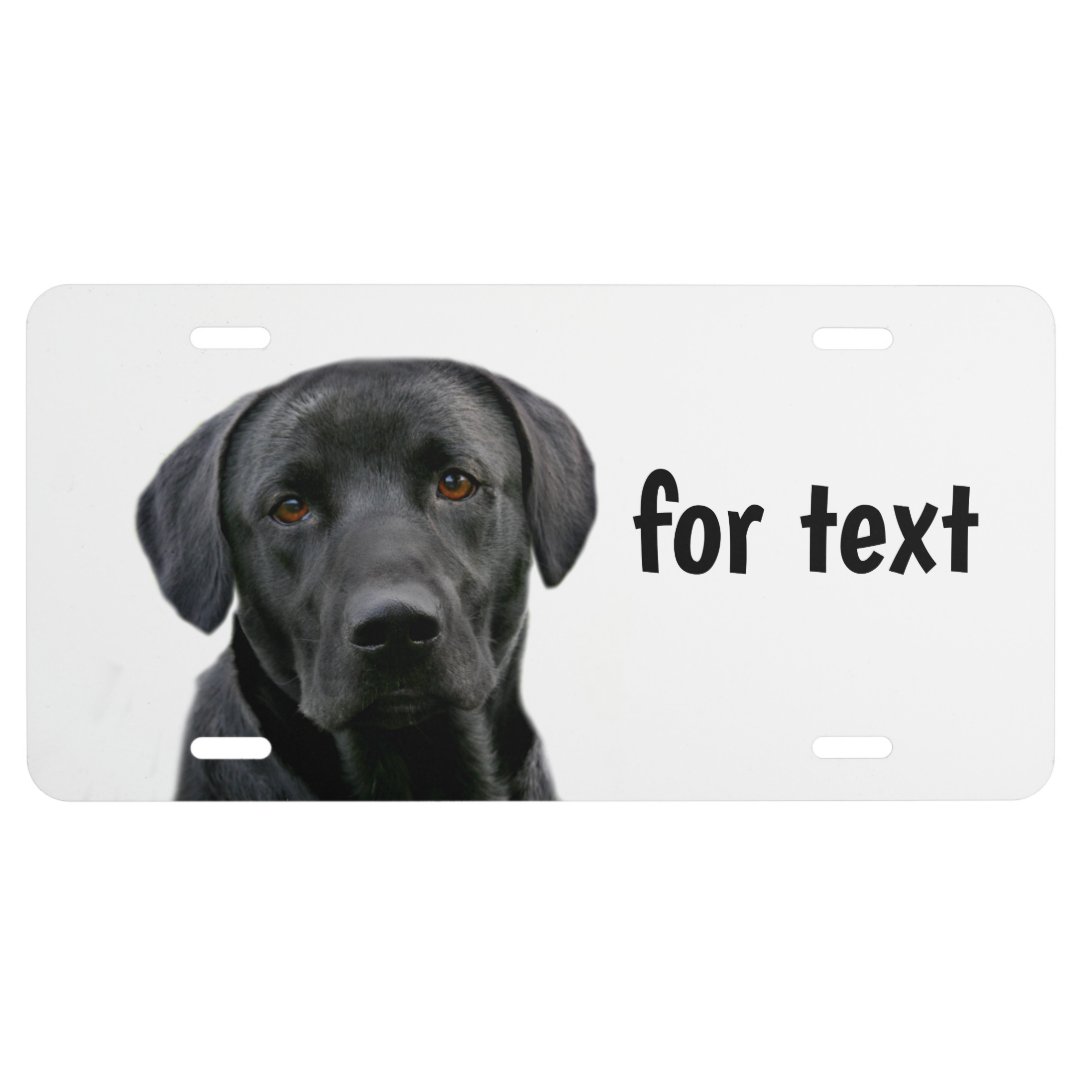 Black lab face license plate | Zazzle