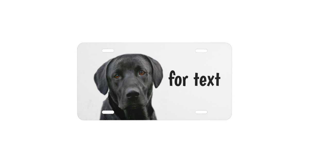 Black lab face license plate | Zazzle