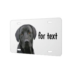 Black lab face license plate | Zazzle