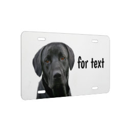 Black lab face license plate | Zazzle
