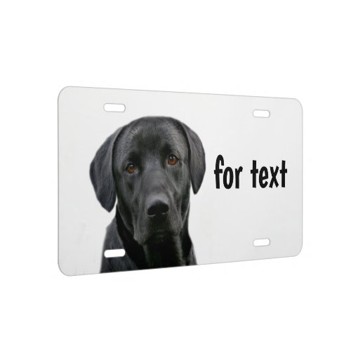 Black lab face license plate | Zazzle