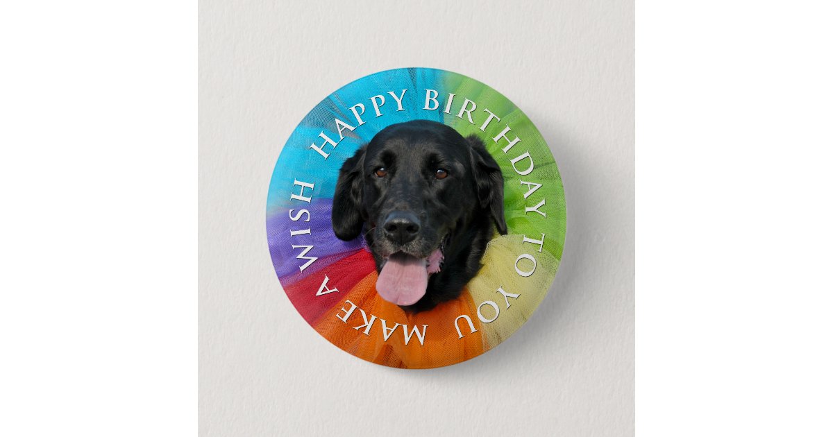 Black Lab Happy Birthday Button | Zazzle