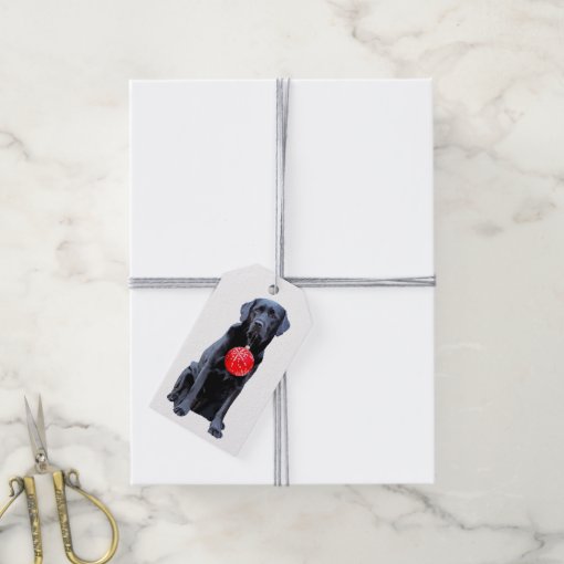 Black Lab Holiday - Labrador Christmas - Black Lab Gift Tags | Zazzle