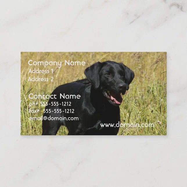 Black Lab in Field Business Cards | Zazzle