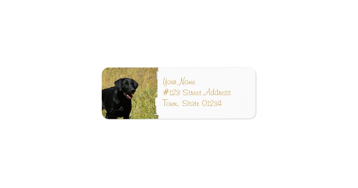 Black Lab in Field Mailing Labels | Zazzle