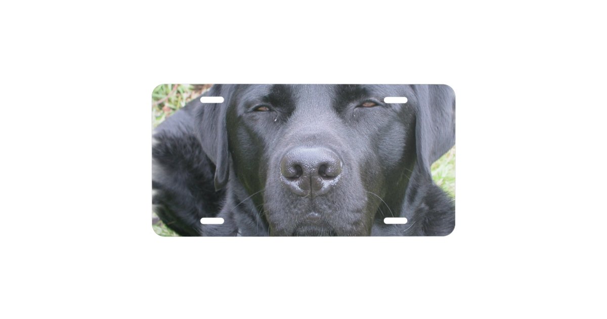 Black Lab License Plate | Zazzle