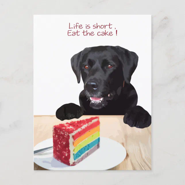 Black Lab- Life is short , eat the Cake - Labrador Postcard | Zazzle