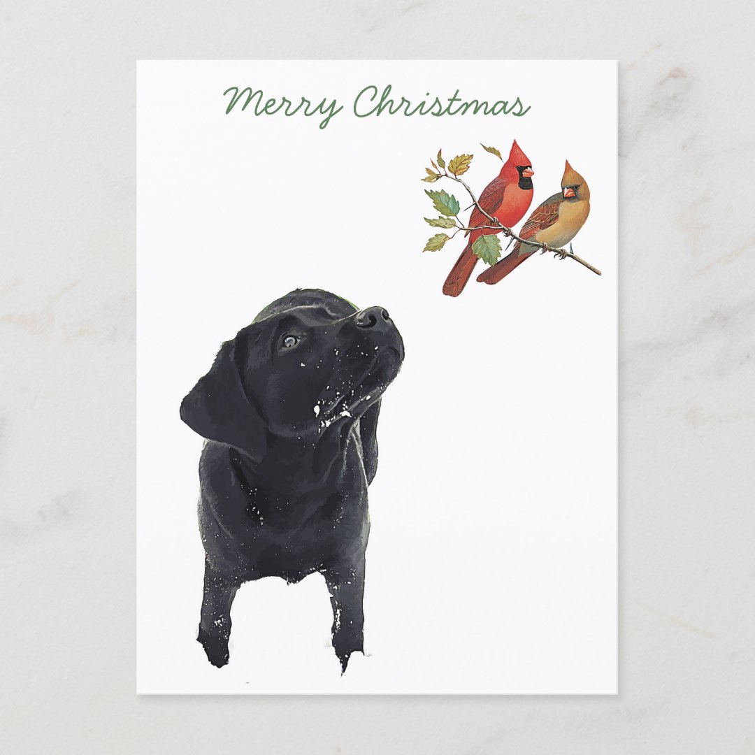 Black Lab Merry Christmas Cute Dog Birds Labrador Holiday Postcard | Zazzle