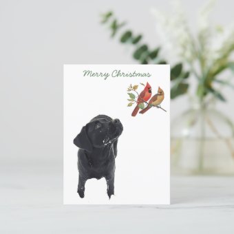 Black Lab Merry Christmas Cute Dog Birds Labrador Holiday Postcard | Zazzle