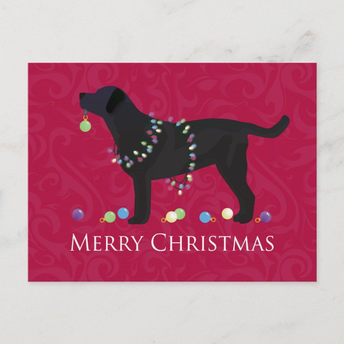 Black Lab Merry Christmas Design Holiday Postcard | Zazzle.com