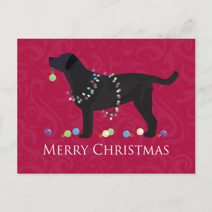 Black Lab Merry Christmas Design Holiday Postcard | Zazzle