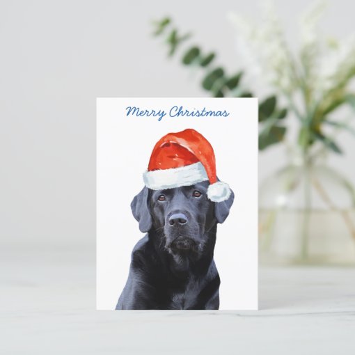 Black Lab Merry Christmas Labrador Cute Santa Dog Holiday Postcard | Zazzle