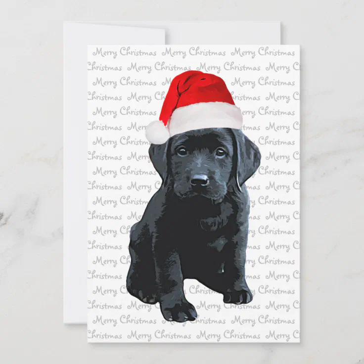 Black Lab Merry Christmas Labrador Dog Santa Puppy Holiday Card | Zazzle