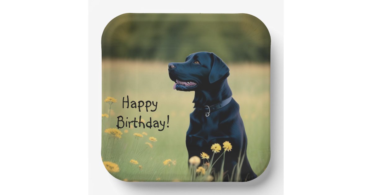 Black Lab Paper Plates | Zazzle
