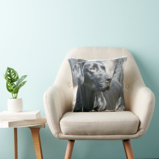 Black Lab Pillow | Zazzle