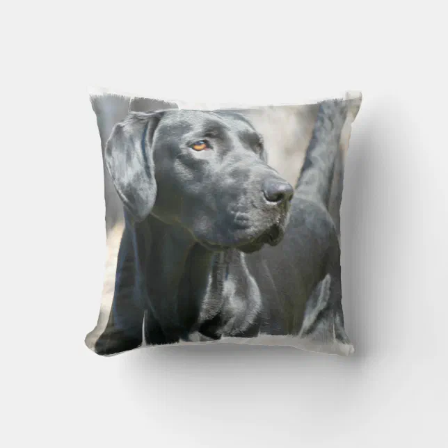 Black Lab Pillow | Zazzle