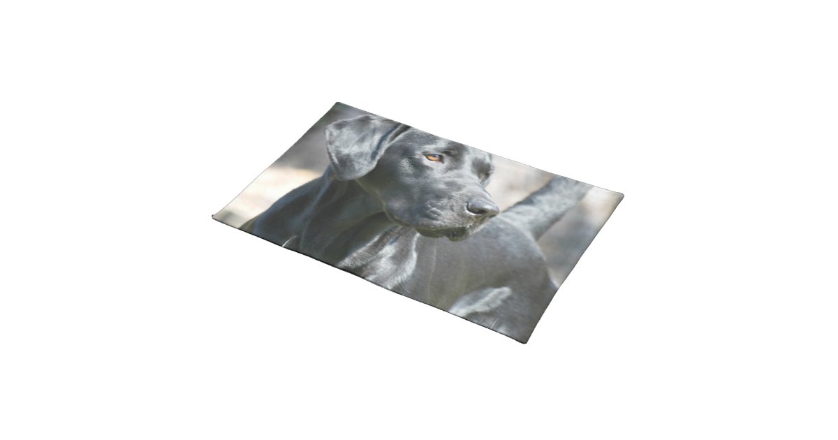 Black Lab Placemat | Zazzle
