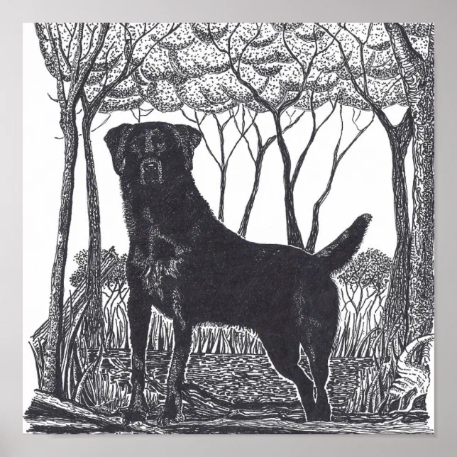 black lab poster | Zazzle