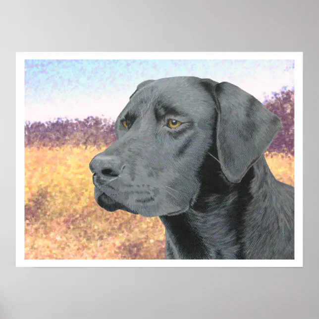 Black Lab Poster | Zazzle