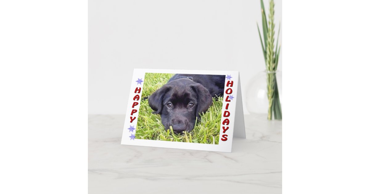 Black Lab Puppy Happy Holidays Card | Zazzle