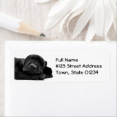 Black Lab Puppy Mailing Label | Zazzle