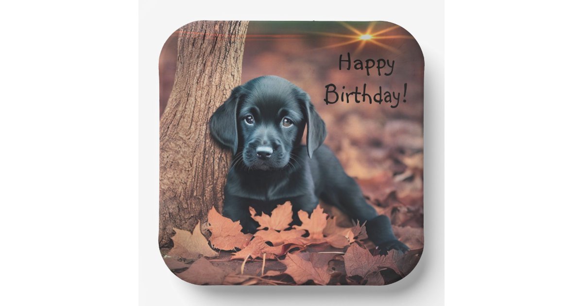 Black Lab Puppy Paper Plates | Zazzle