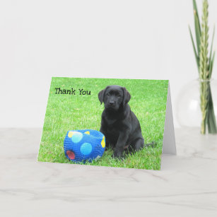 Black Labrador Thank You Cards | Zazzle