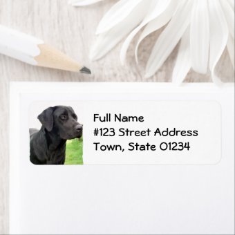 Black Lab Return Address Label | Zazzle