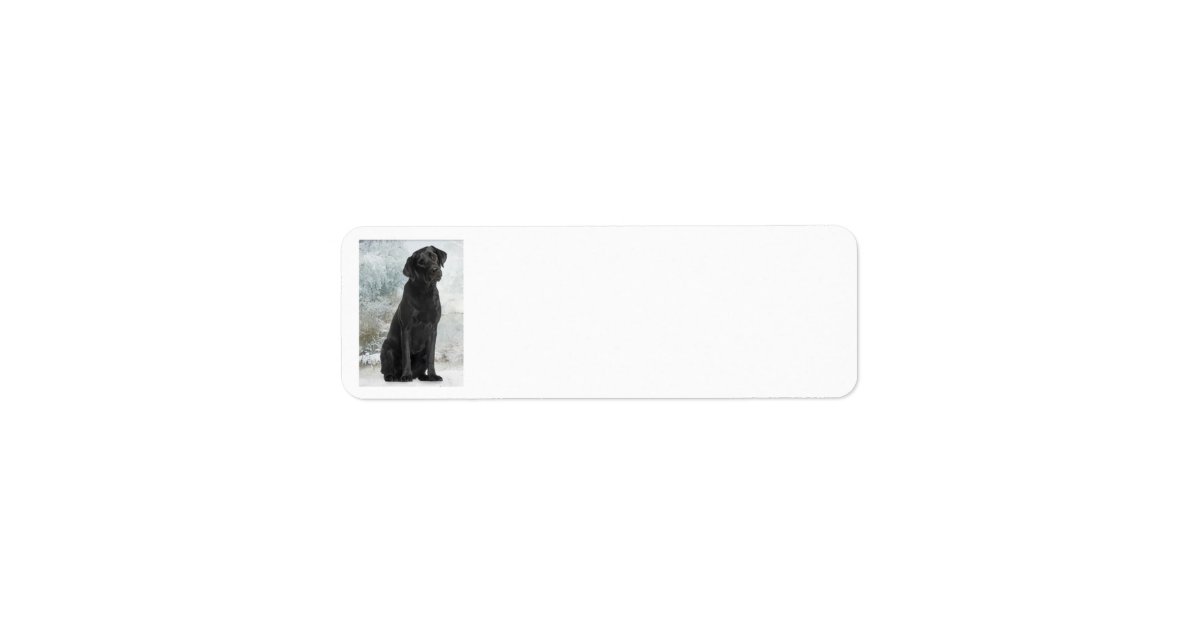 Black Lab Return Address Labels | Zazzle