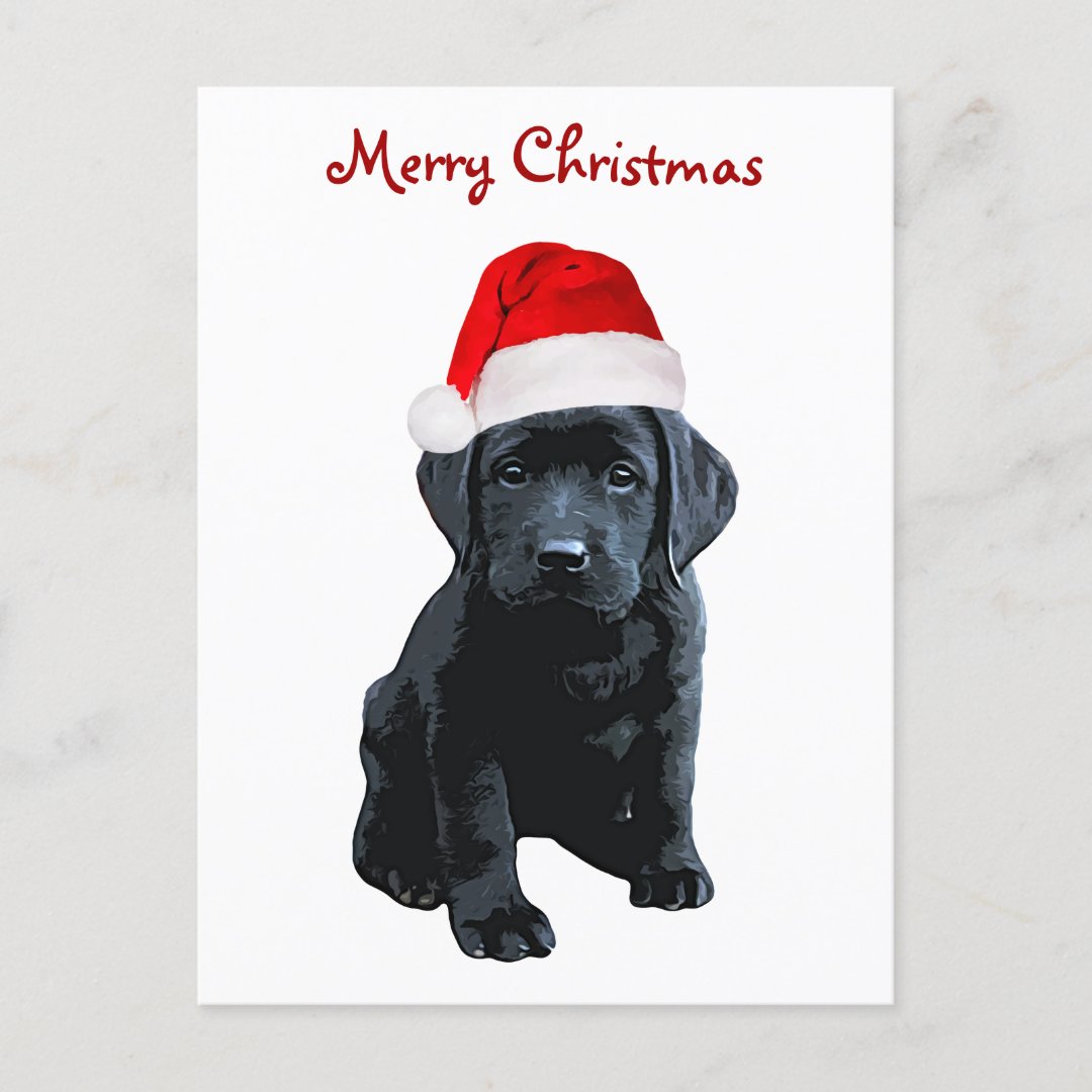 Black Lab Santa - Merry Christmas - Labrador Dog Holiday Postcard | Zazzle