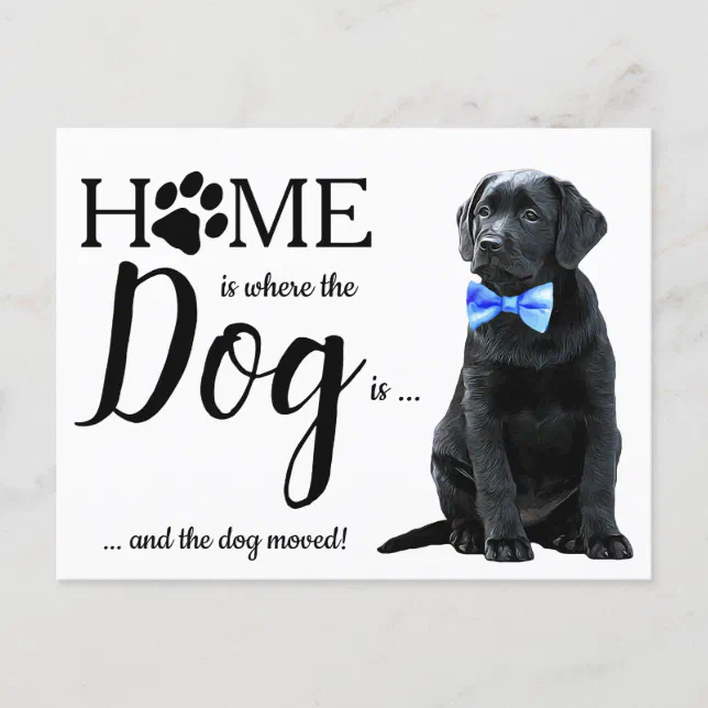 Black Lab We've Moved Dog Moving Announcement Postcard | Zazzle