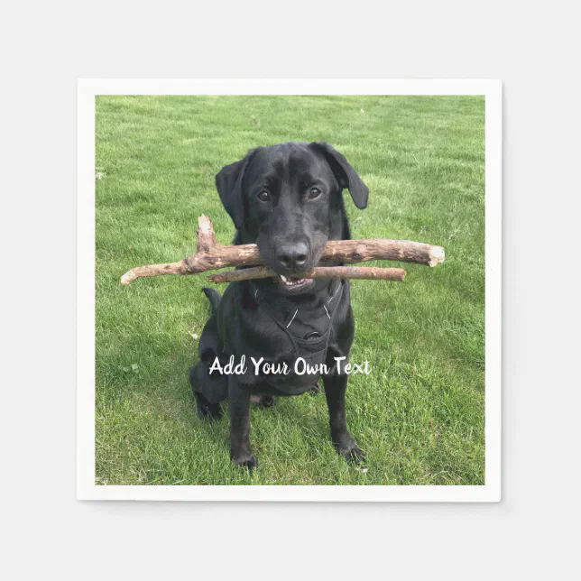 Black Lab with two sticks Dog Photo and Name Napkins | Zazzle