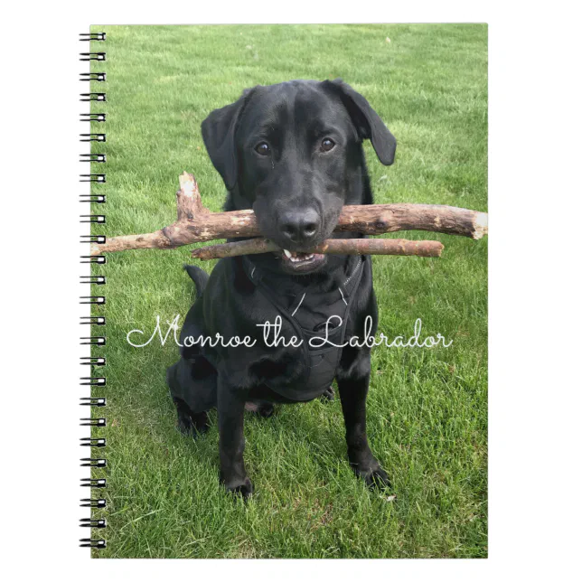 Black Lab with two sticks Dog Photo and Name Notebook | Zazzle