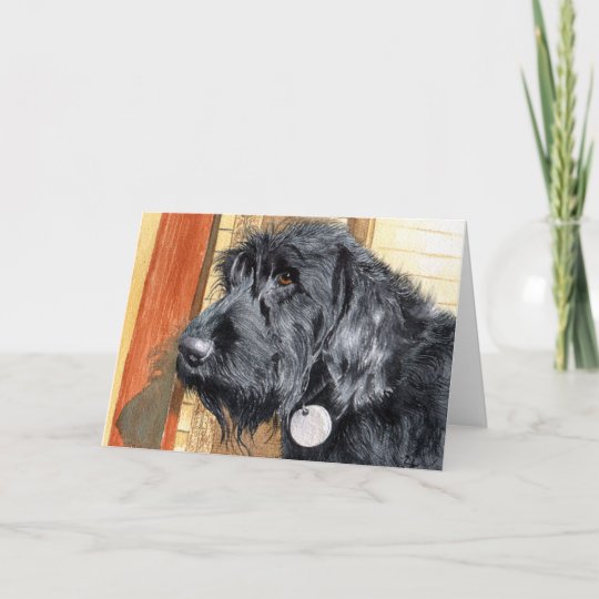 Black Labradoodle #1 Greeting Cards | Zazzle.com