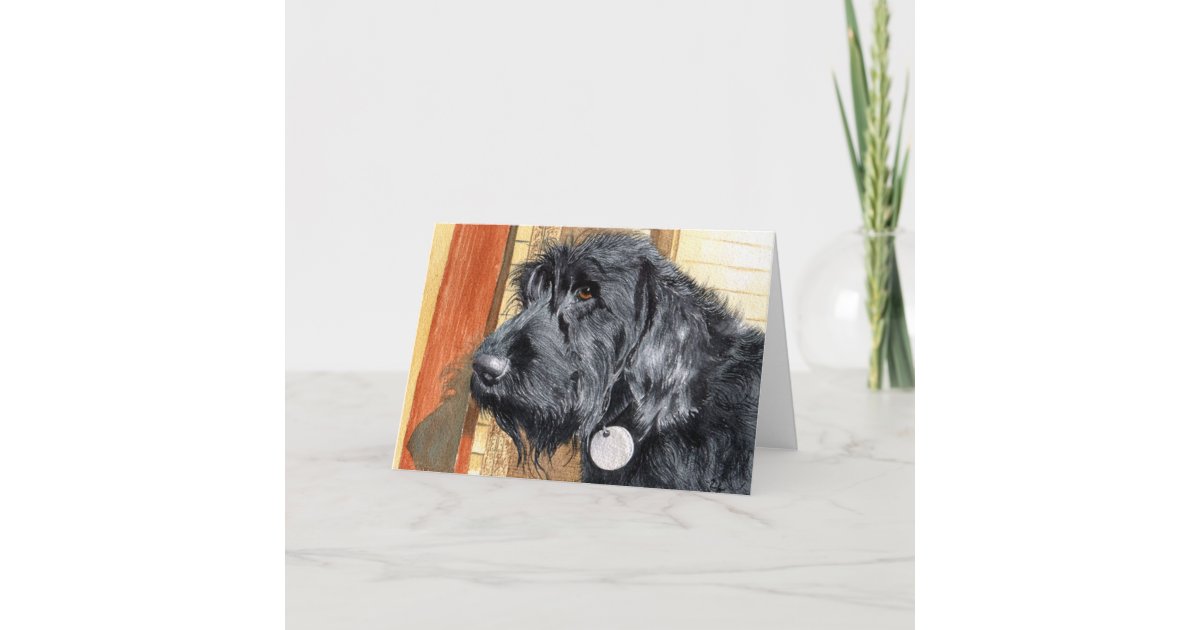 Black Labradoodle #1 Greeting Cards | Zazzle