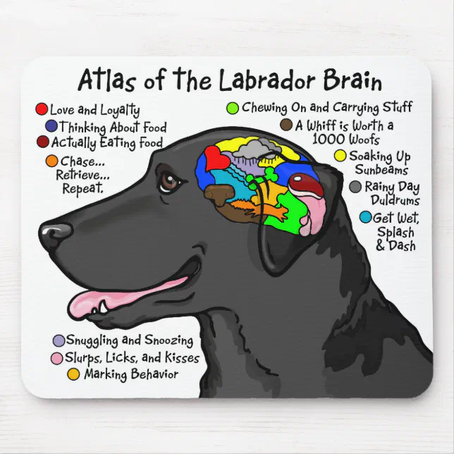 Black Labrador Brain Atlas Mouse Pad | Zazzle