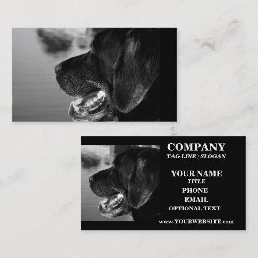 BLACK LABRADOR - Business Card Template | Zazzle